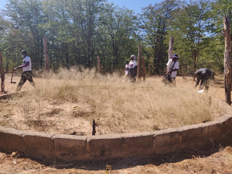 Govt must take care of Gukurahundi survivors: Chief Siphoso - Zimbabwe ...
