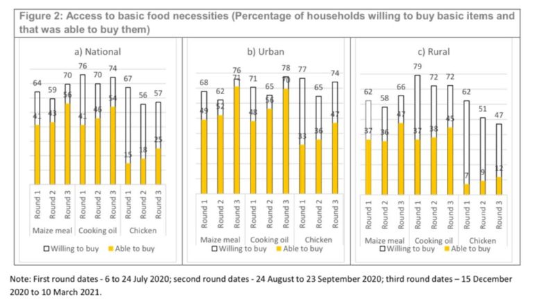 Half of Zimbabweans faced extreme poverty in 2020 due to Covid-19 ...