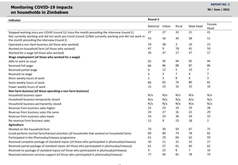 Half of Zimbabweans faced extreme poverty in 2020 due to Covid-19 ...