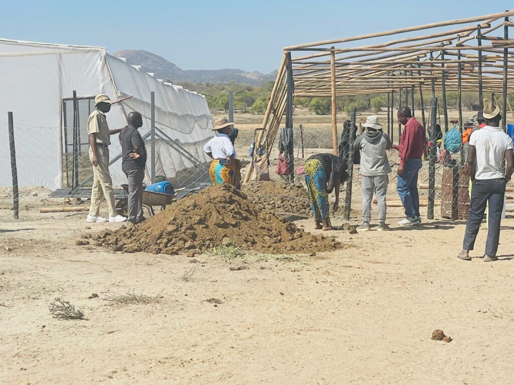 Emthonjeni Women’s Forum waters seeds of hope in Vokola – CITEZW