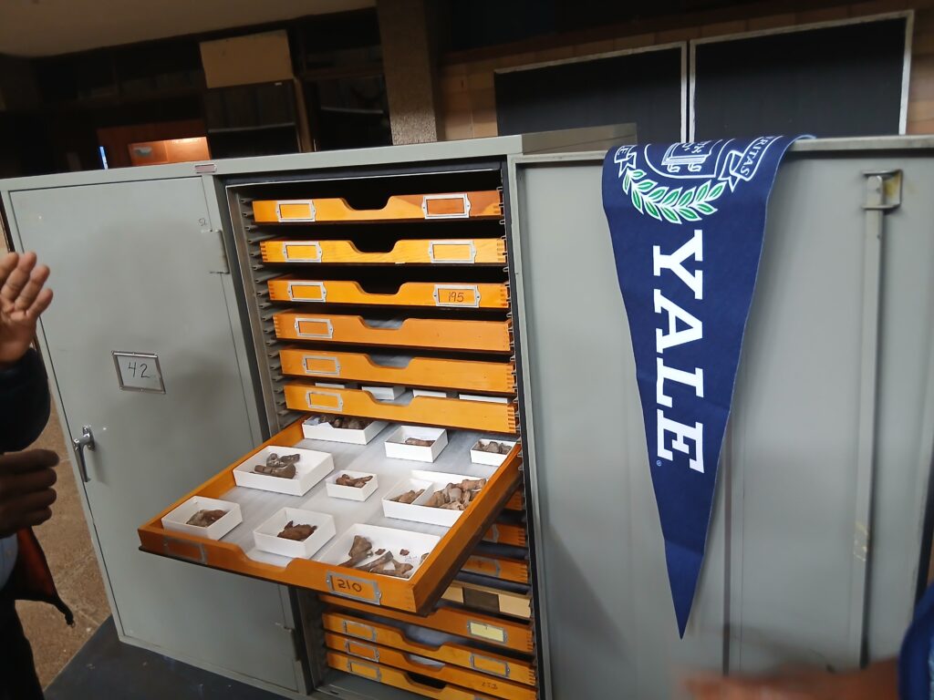 Bulawayo museum receives Yale donation to boost fossil preservation ...