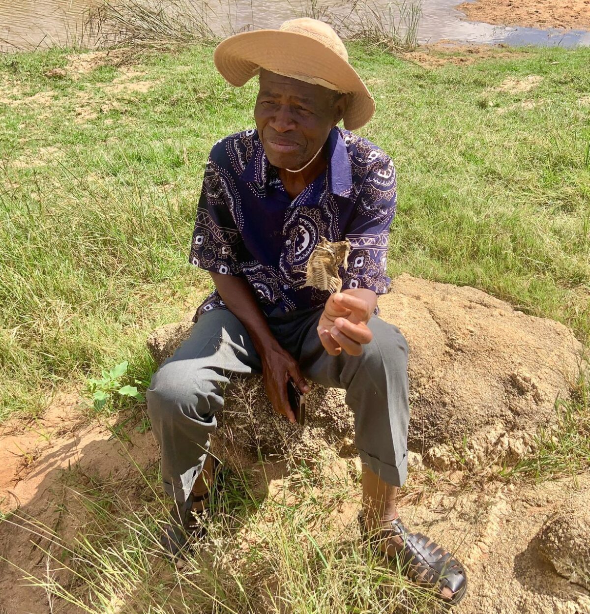 Mining pollution kills fish, threatens public health in Maphisa’s ...