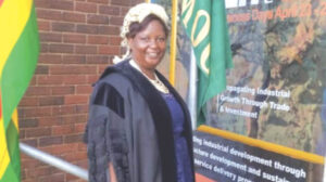 Gwanda villagers clash with Town Clerk over alleged illegal settlement