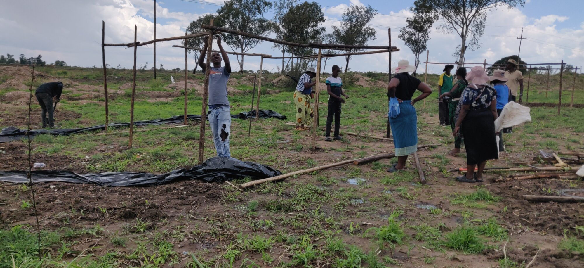 We have no power to stop illegal occupation of stands in Magwegwe West ...